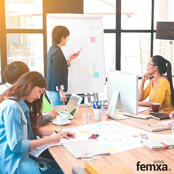 Perfil y funciones de un director de proyectos