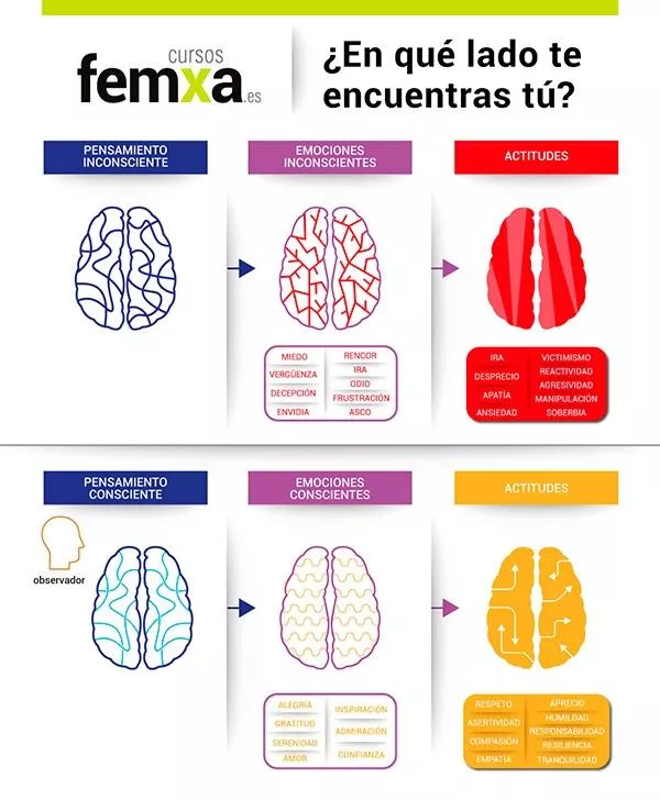 Aumenta tu nivel de consciencia calmando tu mente