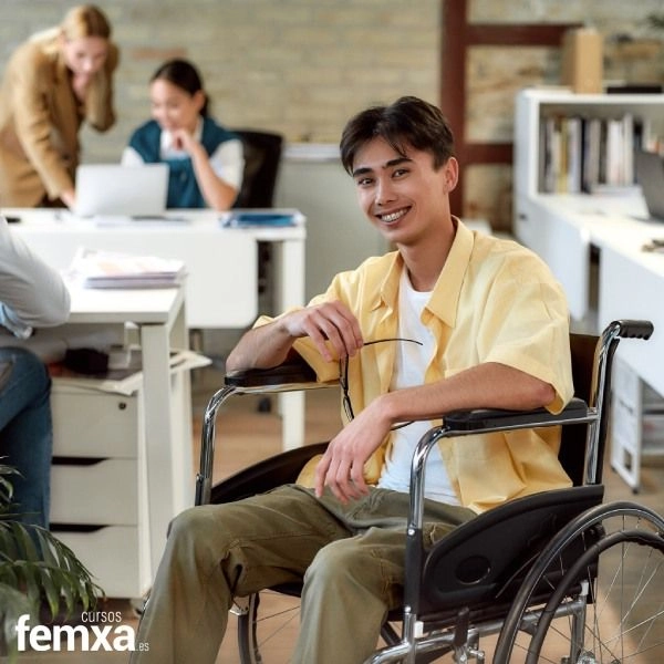 Diferencias entre discapacidad, deficiencia y minusvalía